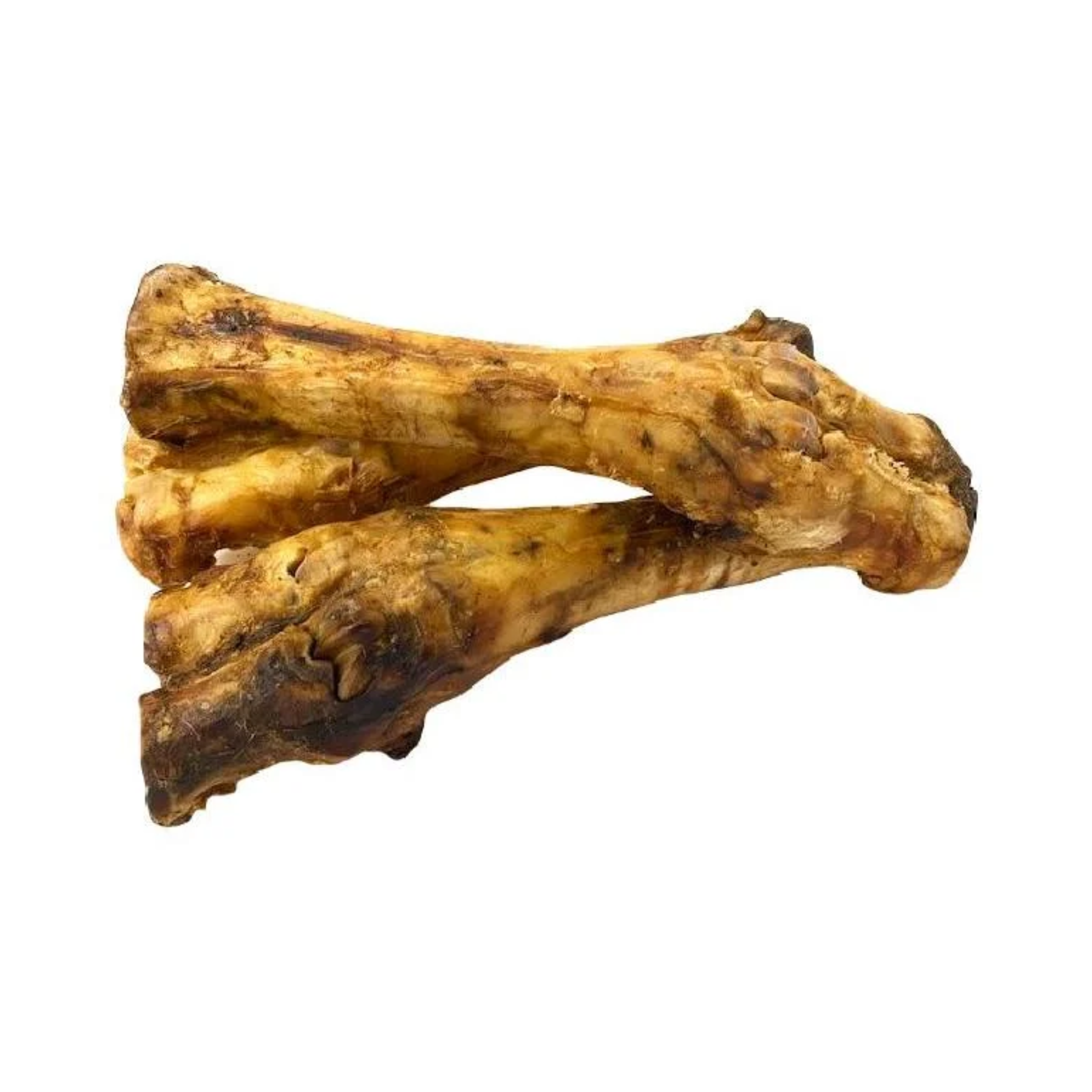 Beef Leg Bone – Little Legs Designs